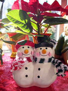 Spring Valley Nurseries | Landscape Design and Nursery Doylestown, Pa.